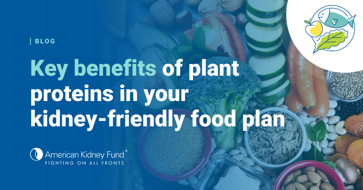 Key benefits of plant proteins in your kidney-friendly food plan ...